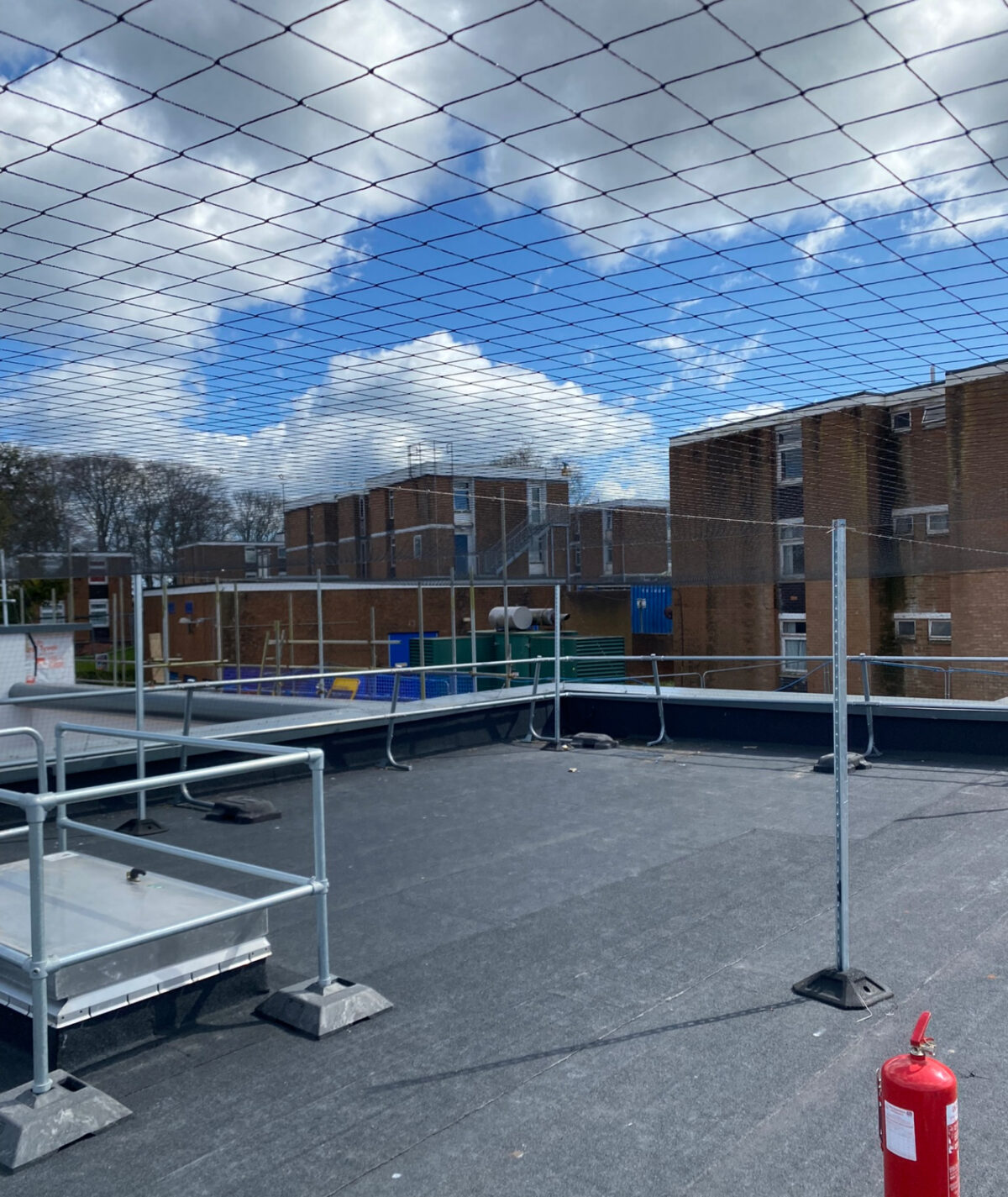 Integrated Bird Management | Sustainable Bird Control Solutions