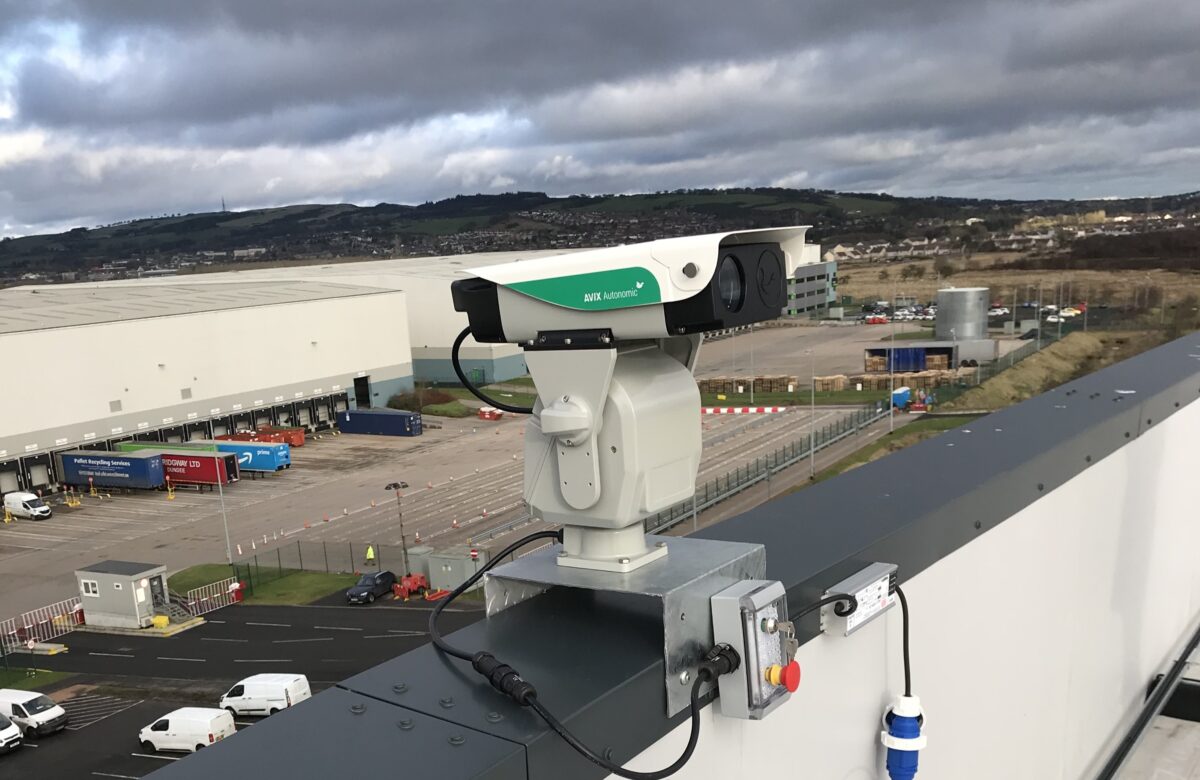 Laser Bird Deterrents vs. Netting: Which is Better for Warehouses ...