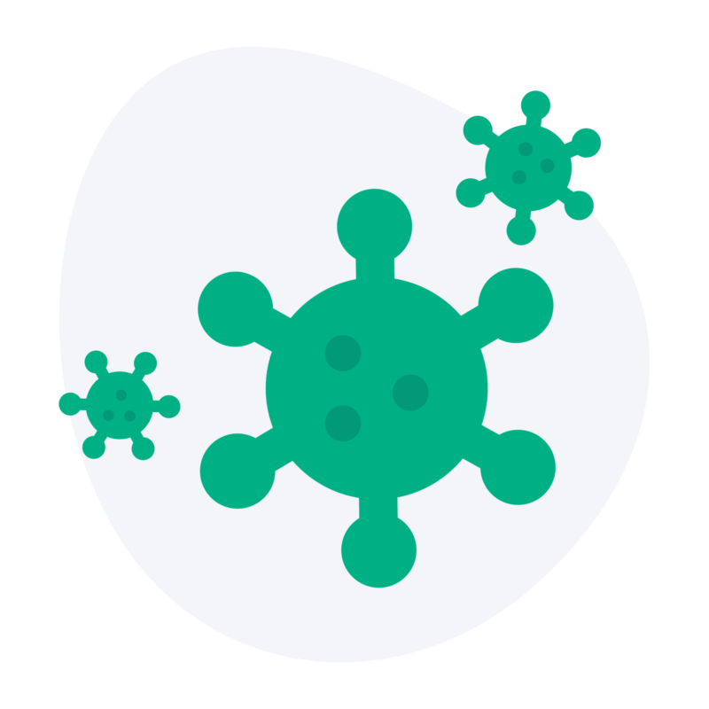 Seagull Deterrents | Humane Bird Control